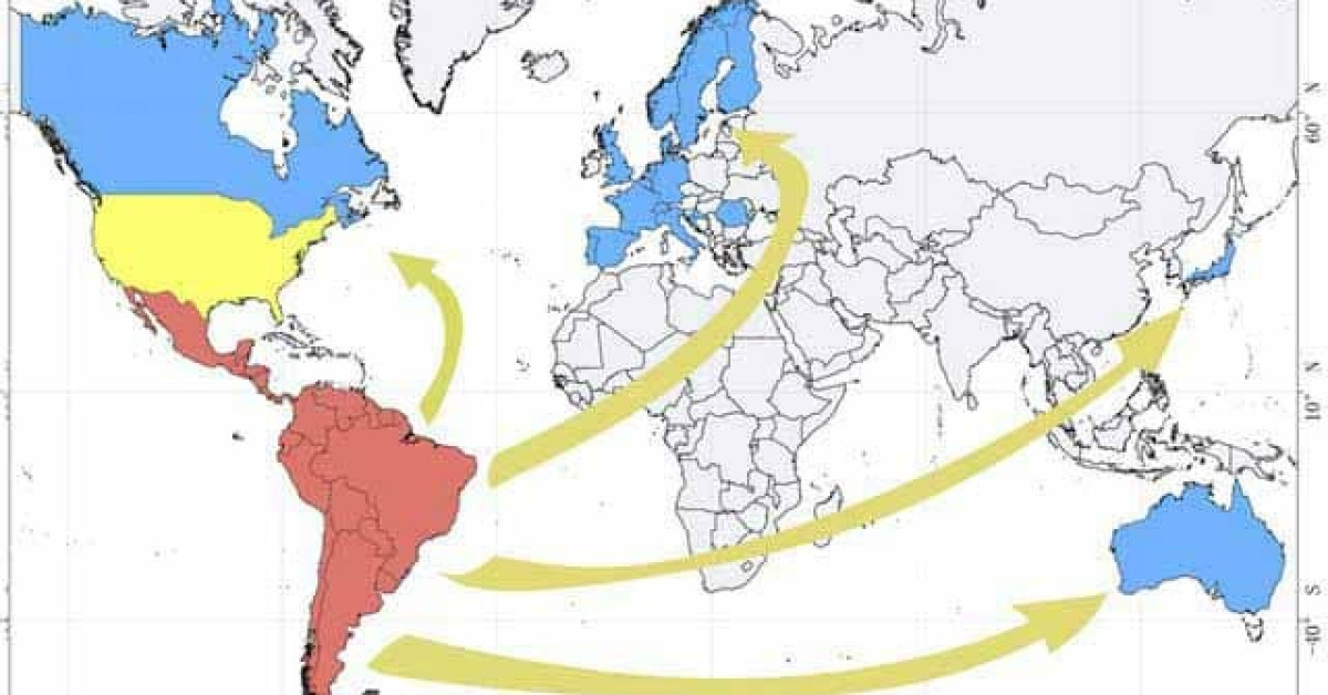 chagas world 2015 image