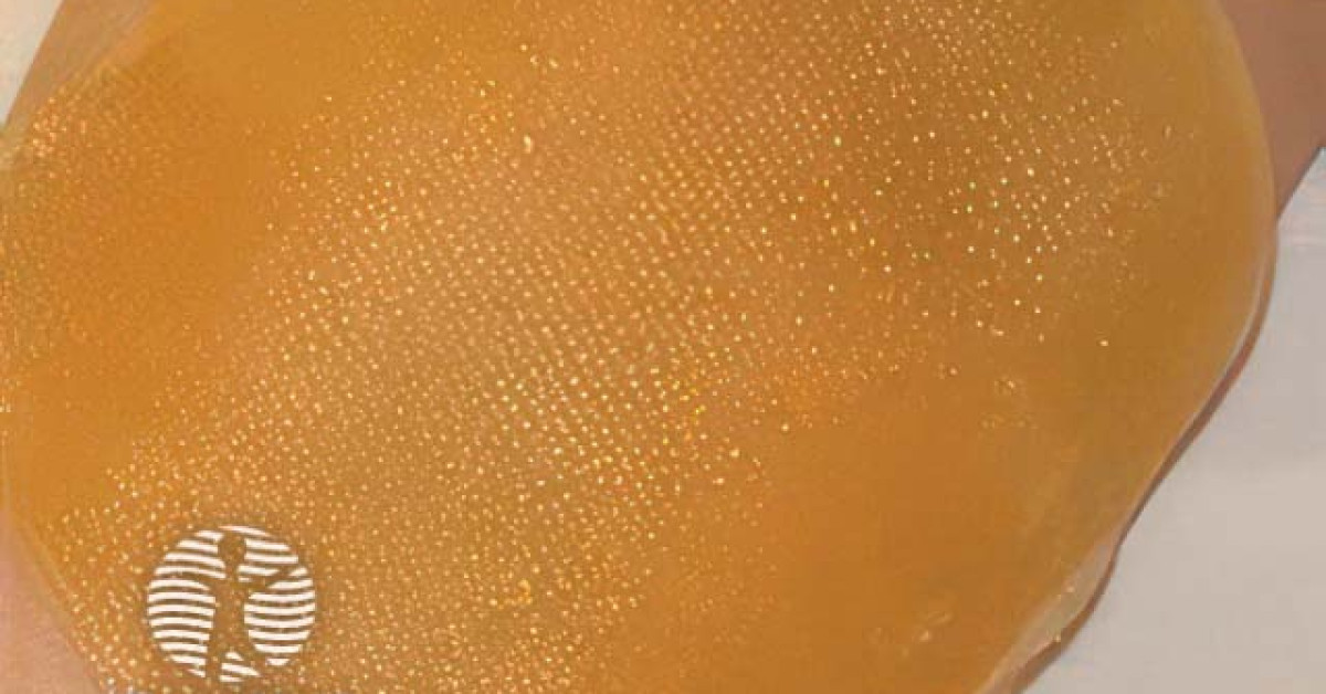 Manuka honey mesh dressing image
