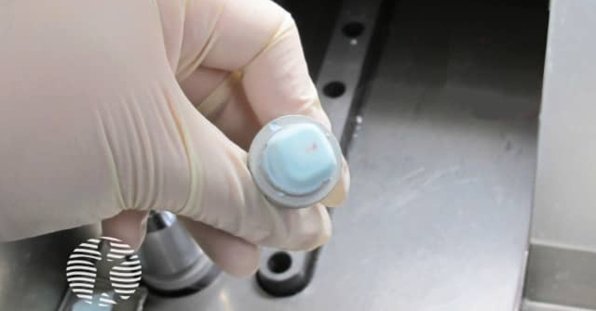 Frozen Specimen Contained Within Frozen Gel Image