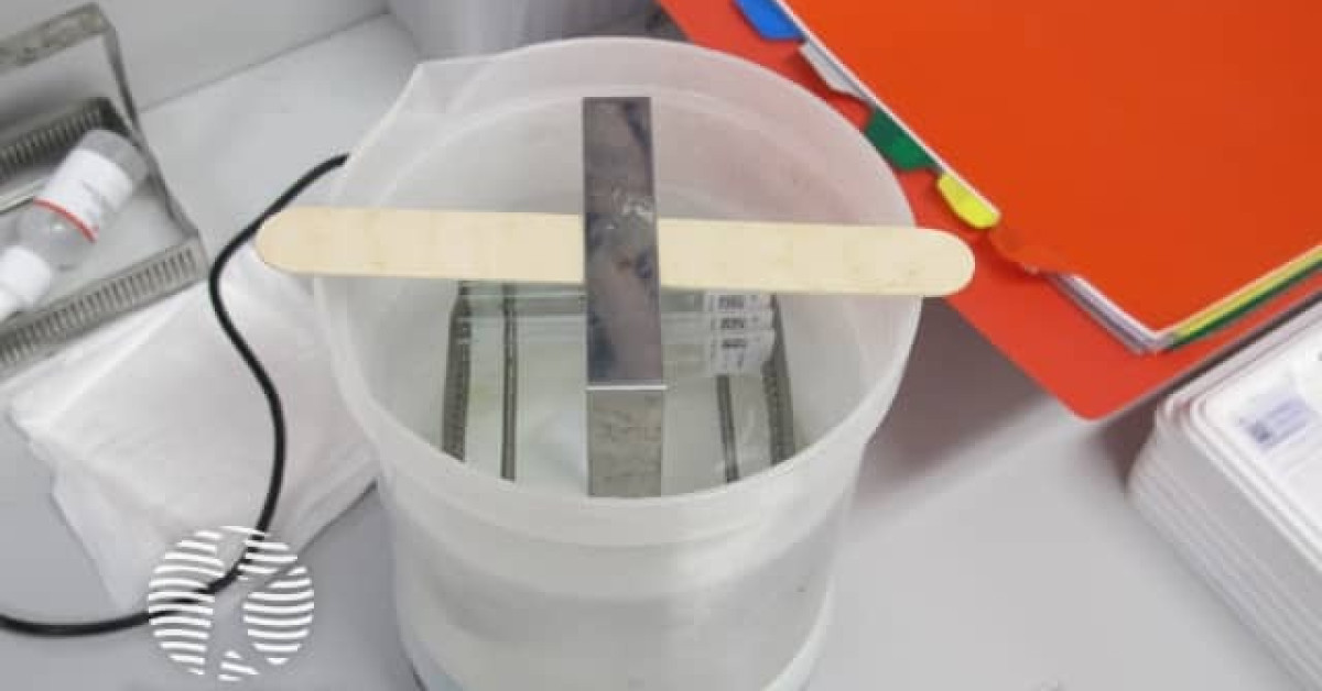 The slides are washed in a solution image