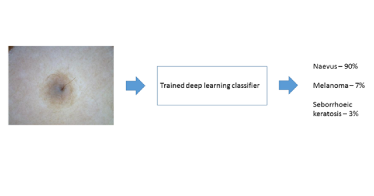 Dermnet® Inference Produced By Deep Learning Algorithms On A New
