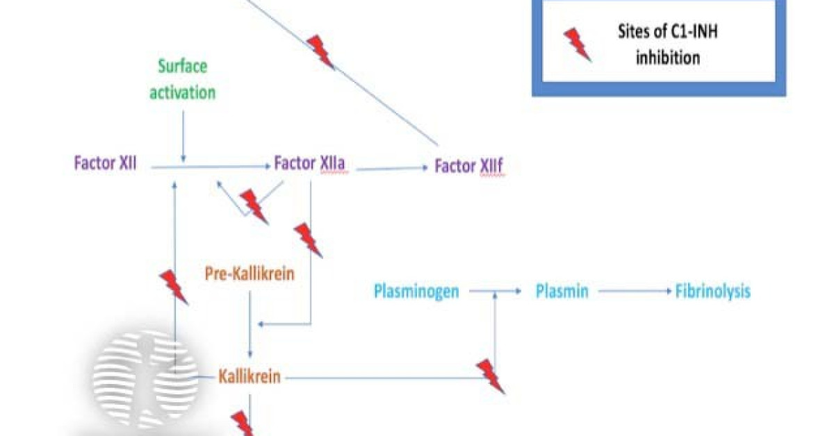 Sites of C1-esterase inhibition image