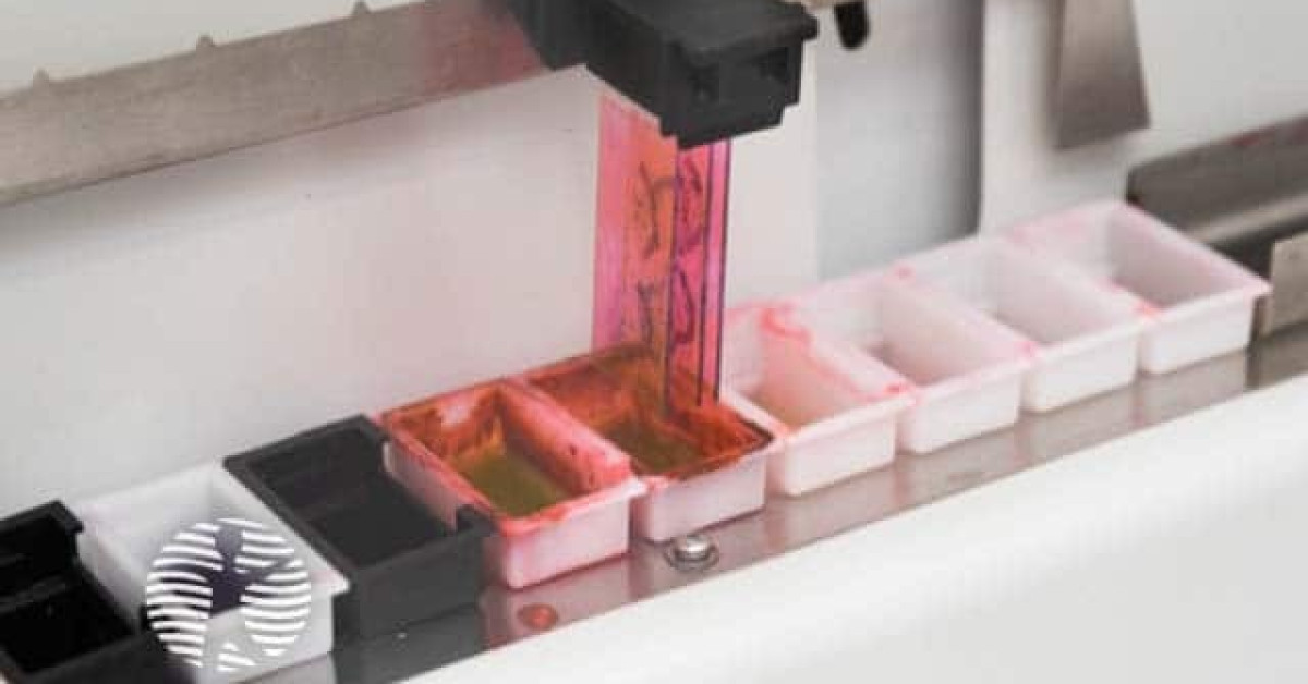 Mohs HE staining image