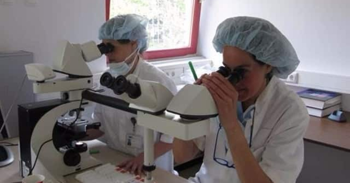 Mohs microscopic slide examination image