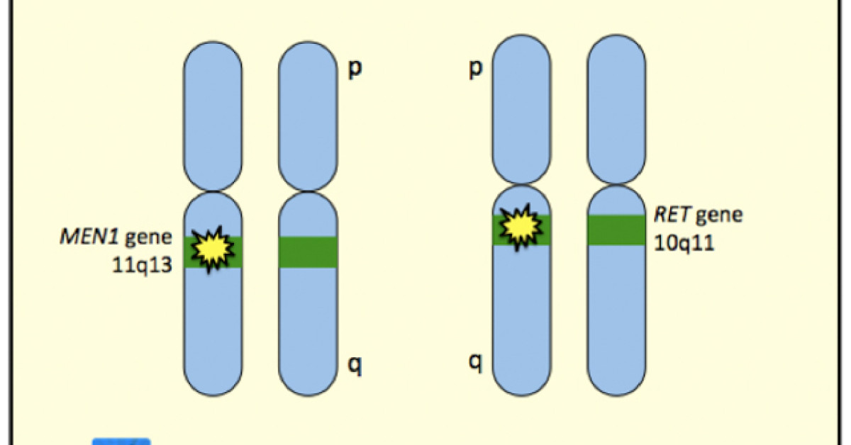 Multiple Endocrine Neoplasia MEN image