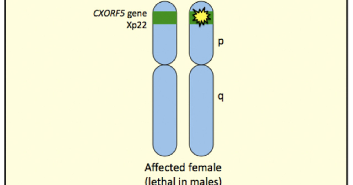 DermNet® - Oral Facial Digital image