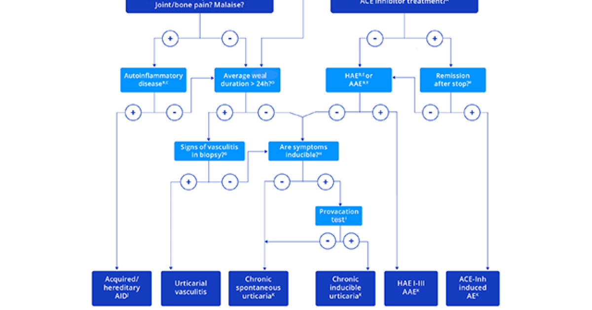 Diagnostic Algorithm For Chronic Urticaria Image