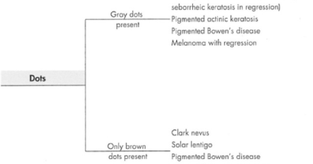 DermNet® - Patterns of dots on dermatoscopy. From Kittler H et al. image