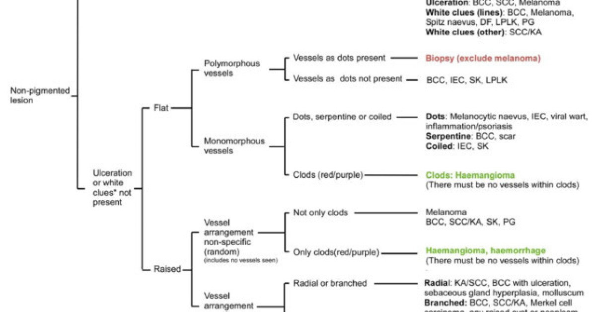 Non-pigmented lesions on dermatoscopy. From http://dx.doi.org/10.5826 ...