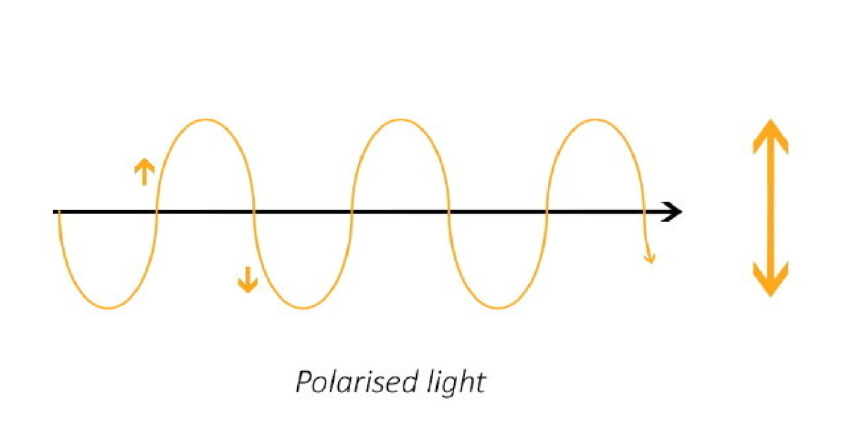 Polarised light image