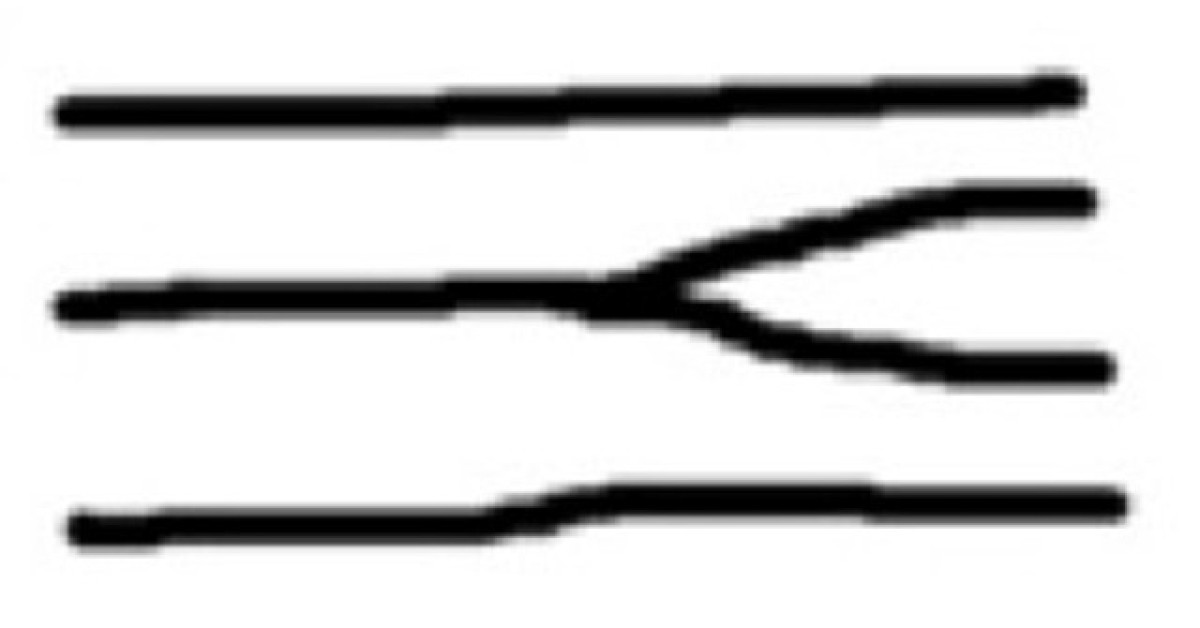 Bifurcation fingerprint image