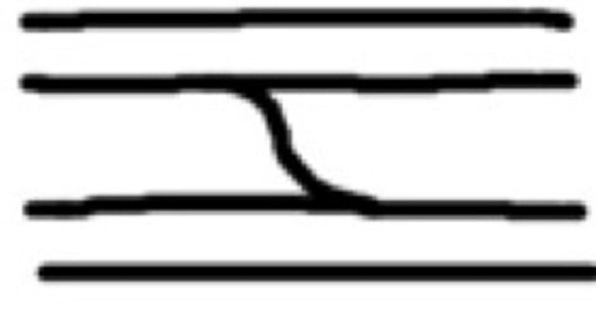 Bridge fingerprint image