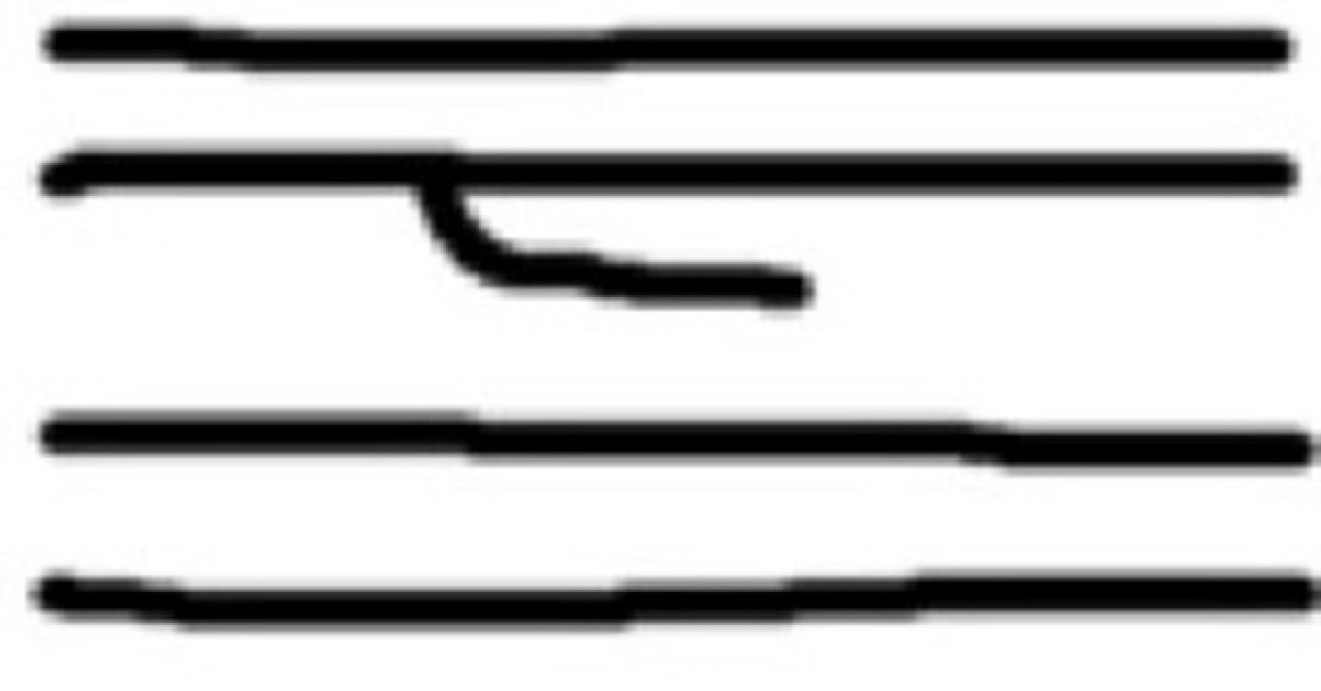 Hook fingerprint image