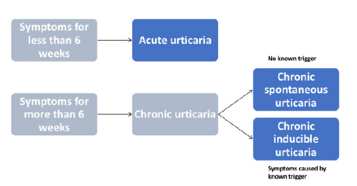 Classification of urticaria image